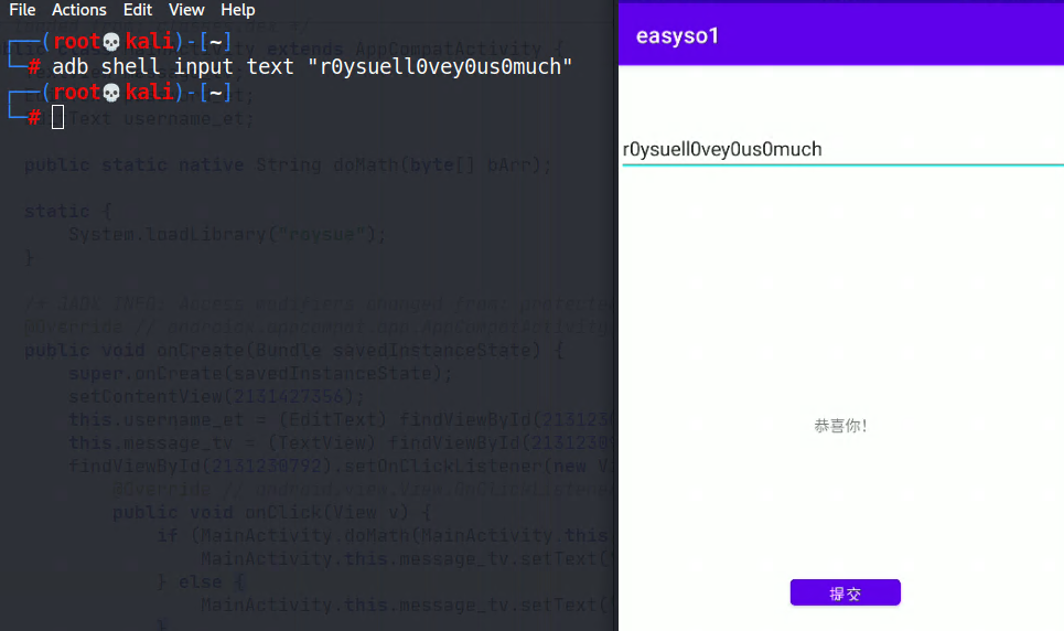 Unidbg和Frida练习 | 工作技术分享